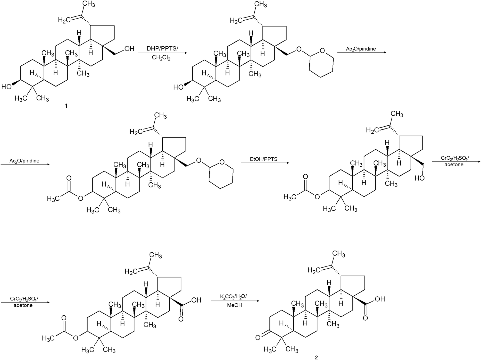 Betulin and betulinic acid: triterpenoids derivatives with a powerful ...
