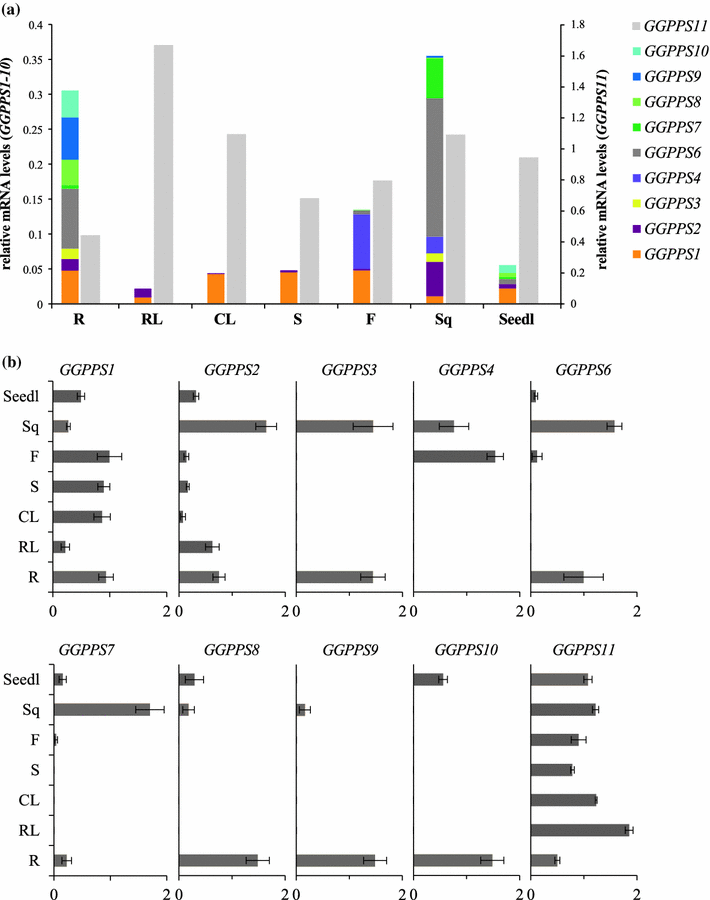 Characterization of the GGPP synthase gene family in Arabidopsis ...