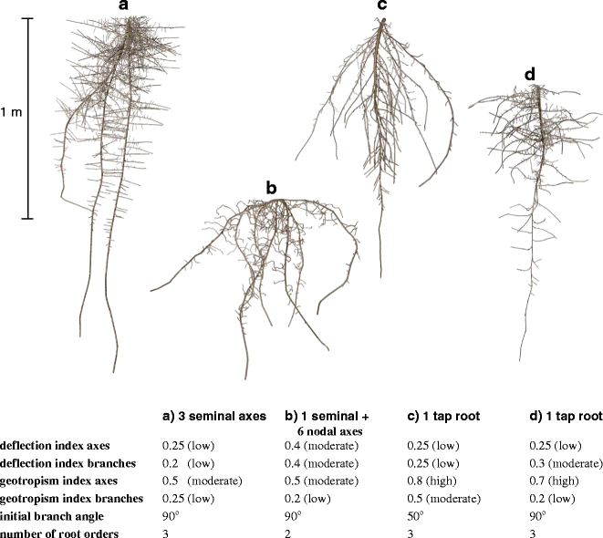 Modelling root–soil interactions using three–dimensional models of root ...