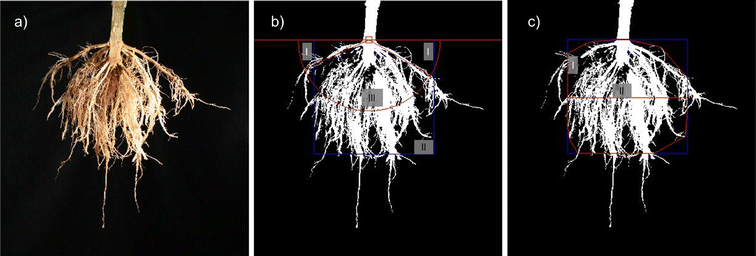 Next generation shovelomics: set up a tent and REST | SpringerLink