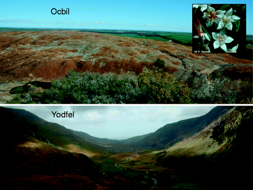 Biodiversity hotspots and Ocbil theory | SpringerLink