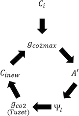 A soil-plant-atmosphere continuum (SPAC) model for simulating tree ...