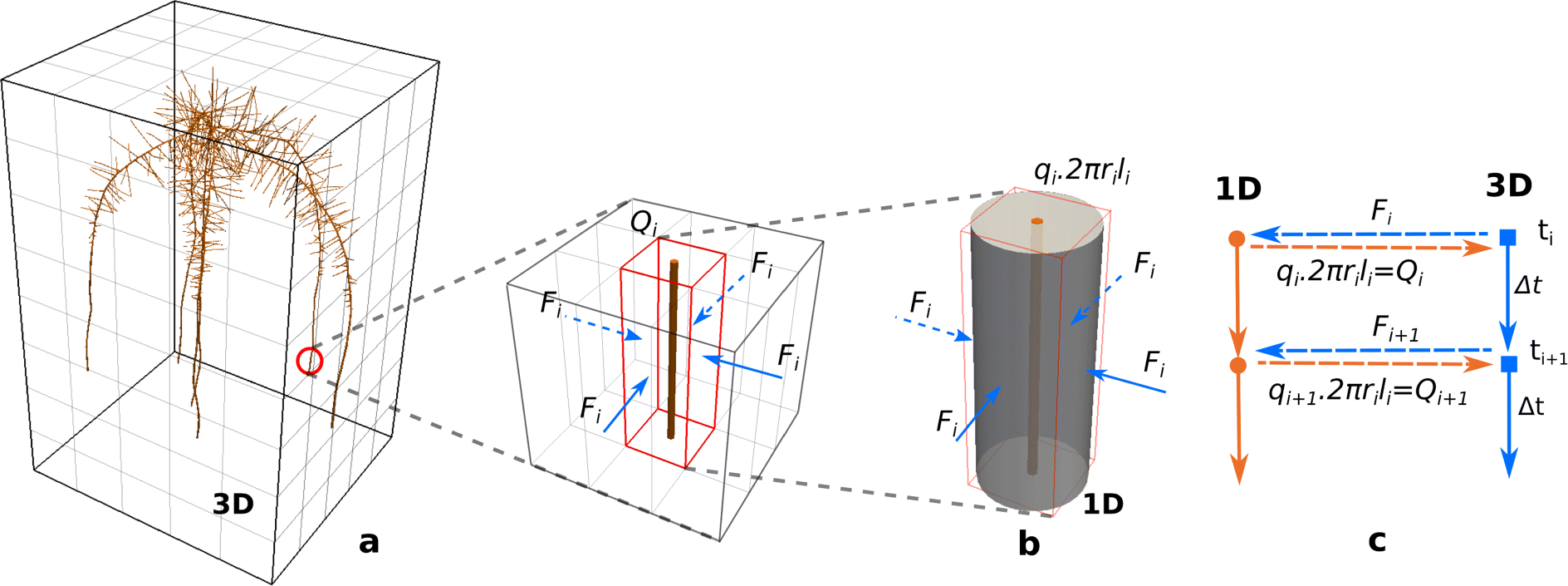 Continuum multiscale model of root water and nutrient uptake from soil ...