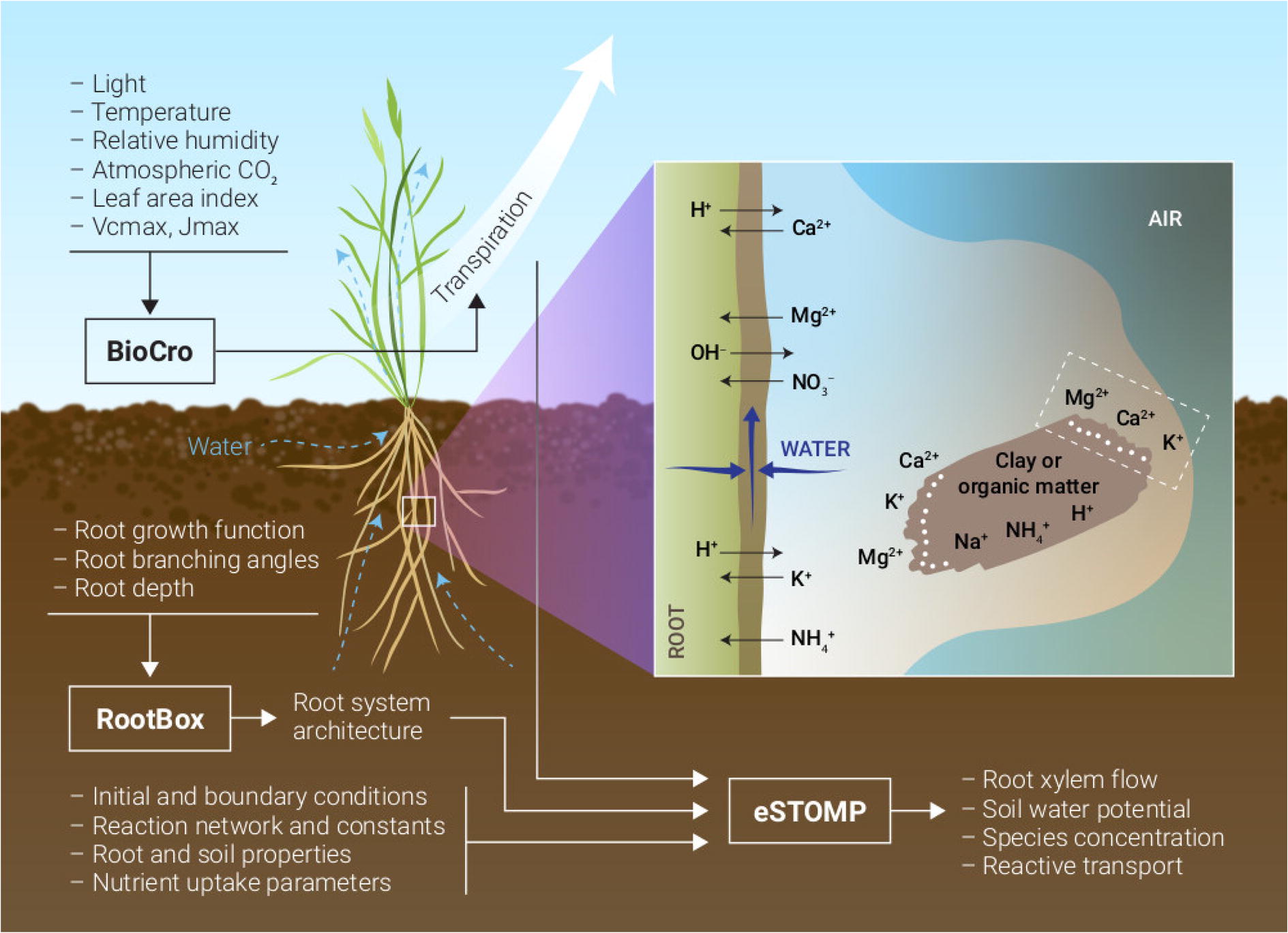 An efficient three-dimensional rhizosphere modeling capability to study the effect of root ...