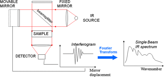 Time-resolved infrared spectroscopy in the study of photosynthetic ...