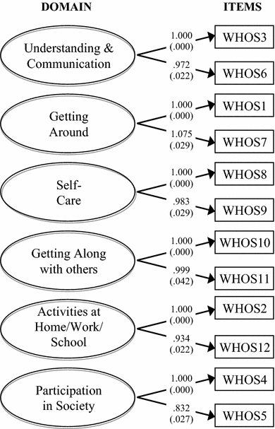 Validity of the 12-item World Health Organization Disability Assessment ...