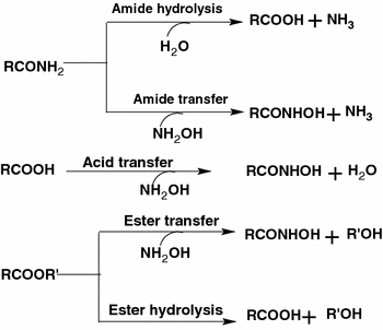 Amidases: versatile enzymes in nature | SpringerLink