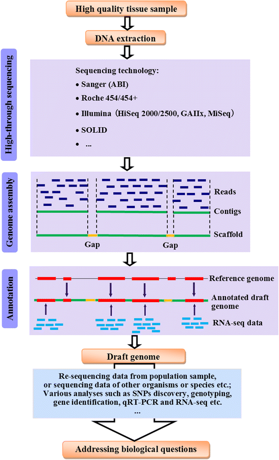 Advances of genotyping-by-sequencing in fisheries and aquaculture ...