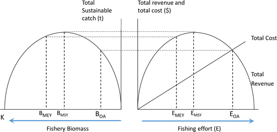 Estimating maximum economic yield in multispecies fisheries: a review ...
