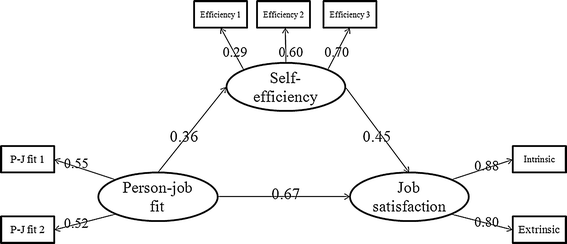 The Impact of Person–Job Fit on Job Satisfaction: The Mediator Role of ...