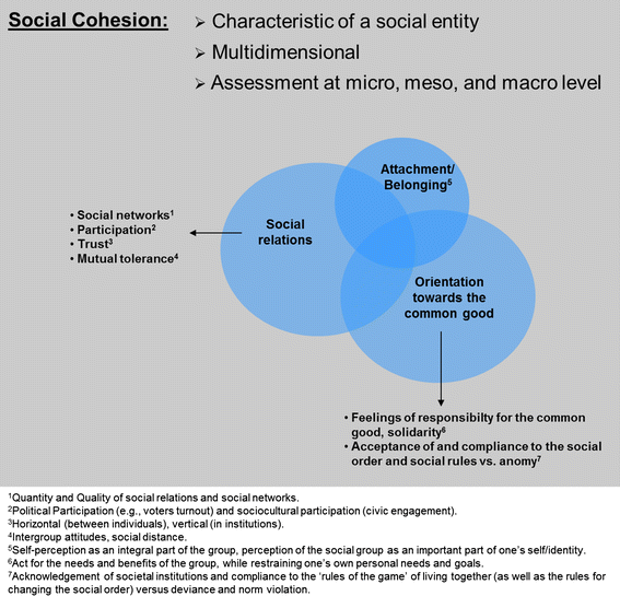 The Essentials of Social Cohesion: A Literature Review | SpringerLink