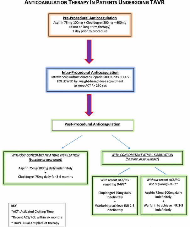 Antithrombotic therapy before, during and after transcatheter aortic ...