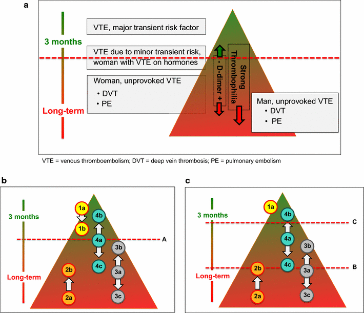 Thrombophilia: clinical–practical aspects | SpringerLink