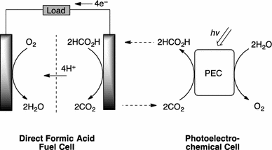 Electrocatalytic Reduction of Carbon Dioxide: Let the Molecules Do the ...