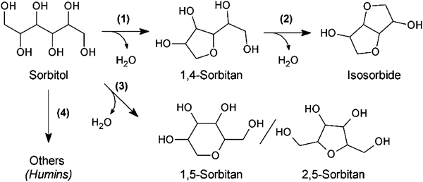 Isosorbide Production from Sorbitol over Heterogeneous Acid Catalysts ...