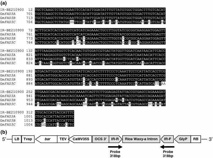 Silencing of Gm FAD3 gene by siRNA leads to low α-linolenic acids (18:3 ...