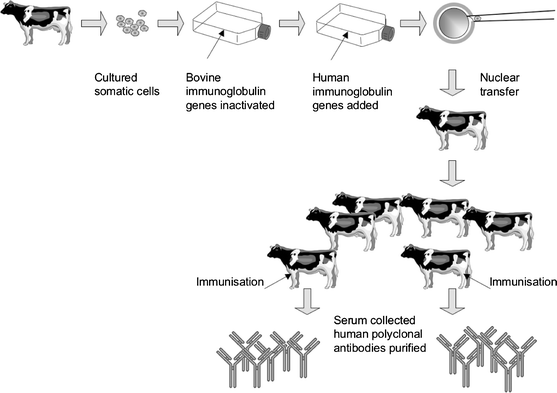 Animal pharming, two decades on | SpringerLink