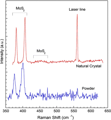 A Raman Spectroscopic Study of MoS2 and MoO3: Applications to ...