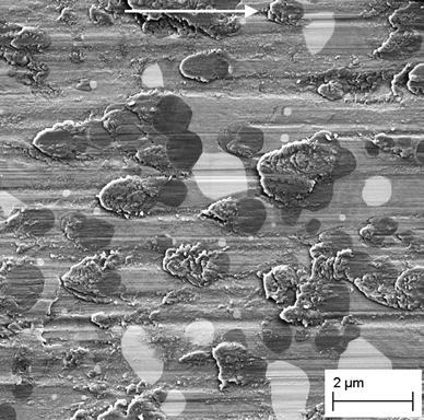Initiation of Galling in Metal Forming: Differences Between Aluminium ...