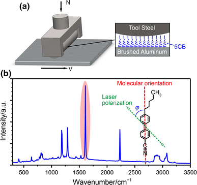 Friction Anisotropy Induced by Oriented Liquid Crystal Molecules ...