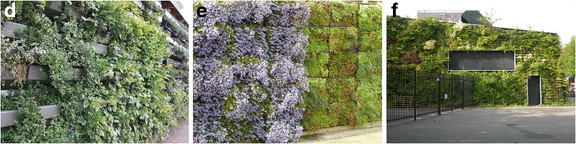 Vertical greening systems, a process tree for green façades and living ...