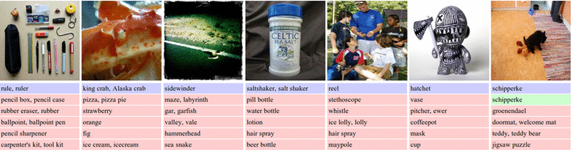 ImageNet Large Scale Visual Recognition Challenge | SpringerLink