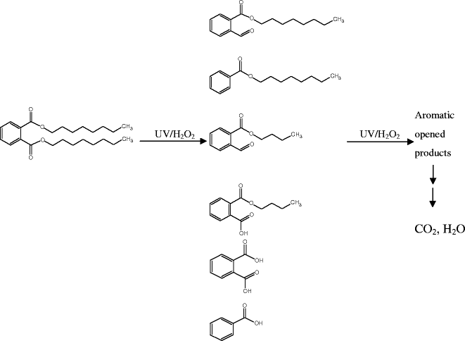 The Oxidation of Di-(2-Ethylhexyl) Phthalate (DEHP) in Aqueous Solution ...