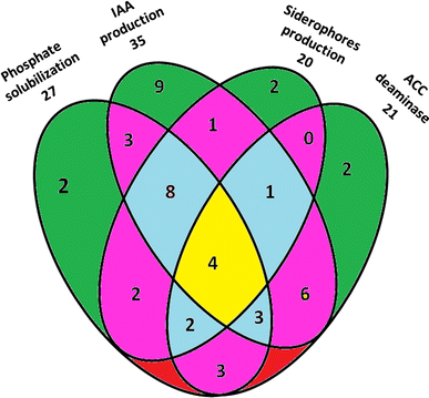 Culturable diversity and functional annotation of psychrotrophic ...