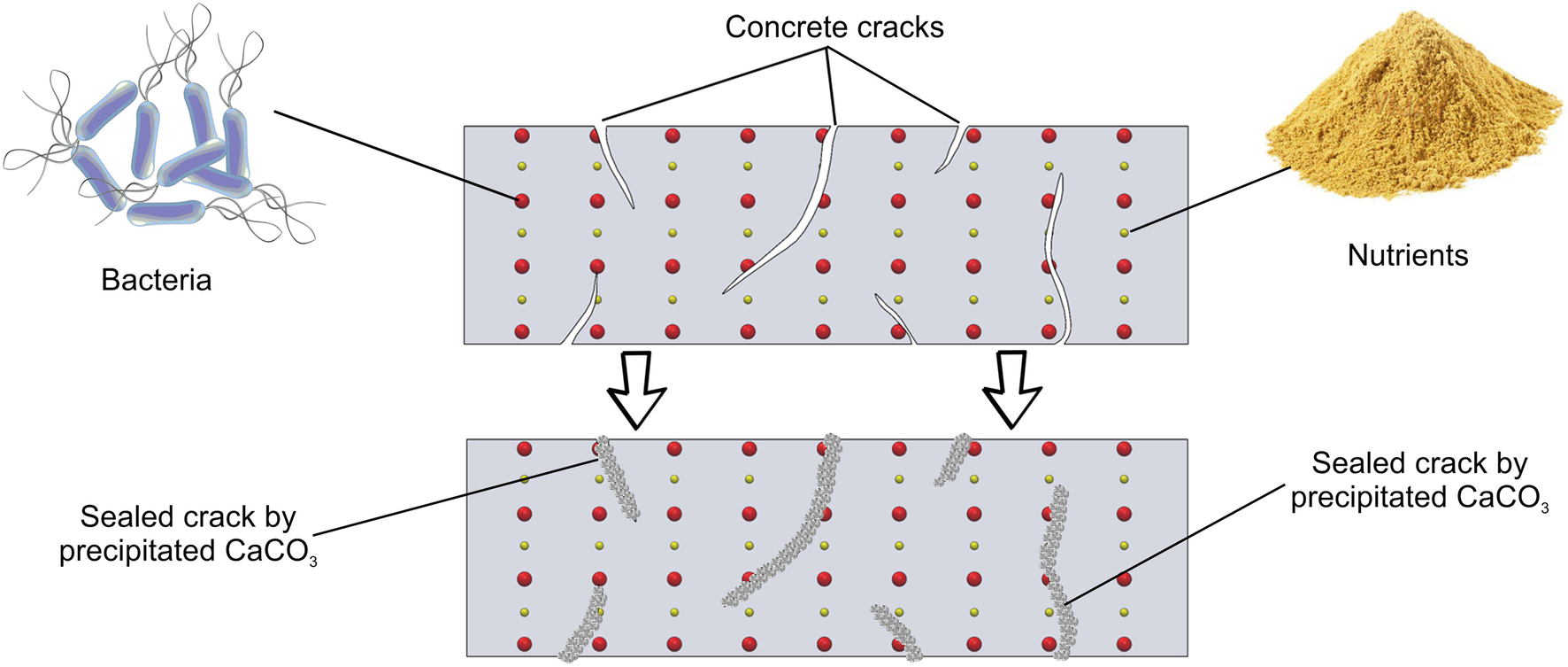 Application of microbially induced calcium carbonate precipitation in ...