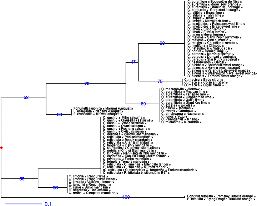 New universal mitochondrial PCR markers reveal new information on ...