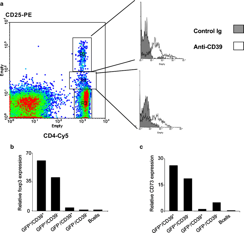 CD39 and control of cellular immune responses | SpringerLink