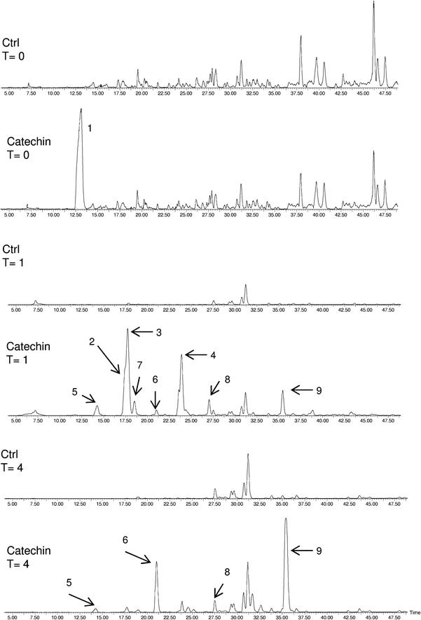 Evidence for a hydrogen-sink mechanism of (+)catechin-mediated emission ...