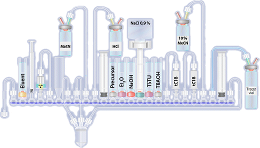 Fully Automated Preparation and Conjugation of N-Succinimidyl 4-[18F ...