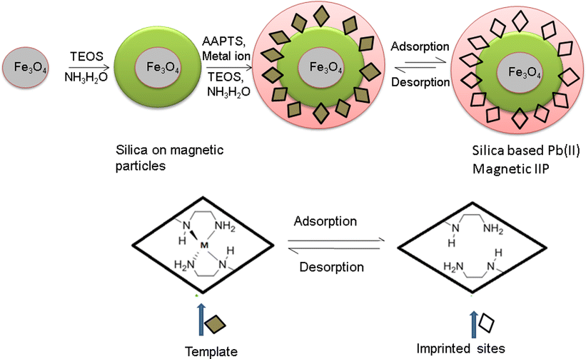 Highly selective monitoring of metals by using ion-imprinted polymers ...