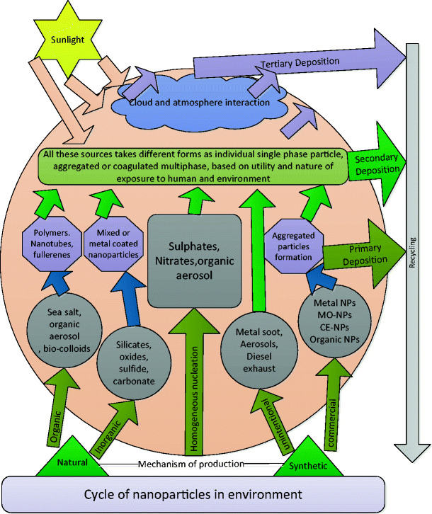Impact of nanoparticles on human and environment: review of toxicity ...