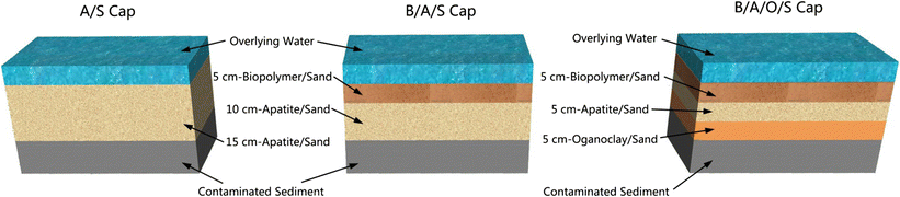 Active capping technology: a new environmental remediation of ...