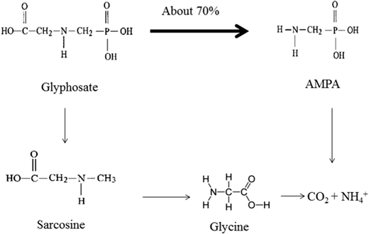 Glyphosate: environmental contamination, toxicity and potential risks ...