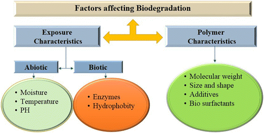 Biodegradation of plastics: current scenario and future prospects for ...