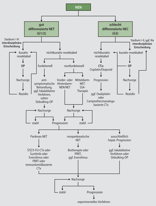Neuroendokrine Neoplasien des gastroenteropankreatischen Systems | SpringerLink