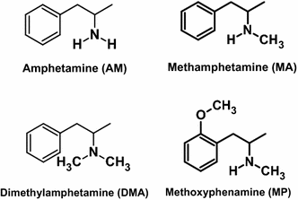 Electrochemiluminescence and voltammetry of tris(2,2′-bipyridine ...