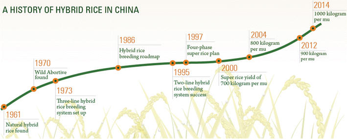 Yuan Longping: hybrid rice is on the way to fulfilling its potential ...