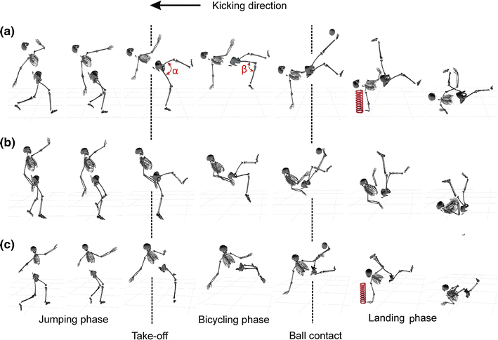 Bicycle kick in soccer: is the virtuosity systematically entrainable ...