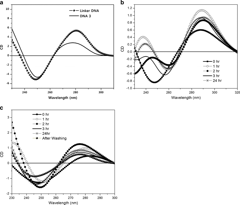 Plasmonic Circular Dichroism Study of DNA–Gold Nanoparticles ...