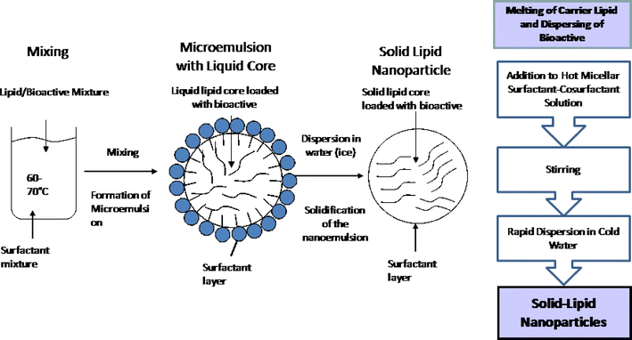 Solid Lipid Nanoparticles as Delivery Systems for Bioactive Food ...