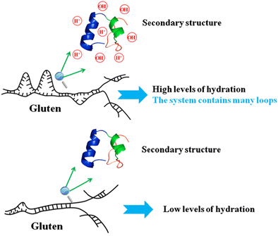 Molecular Structure Evaluation of Wheat Gluten during Frozen Storage ...