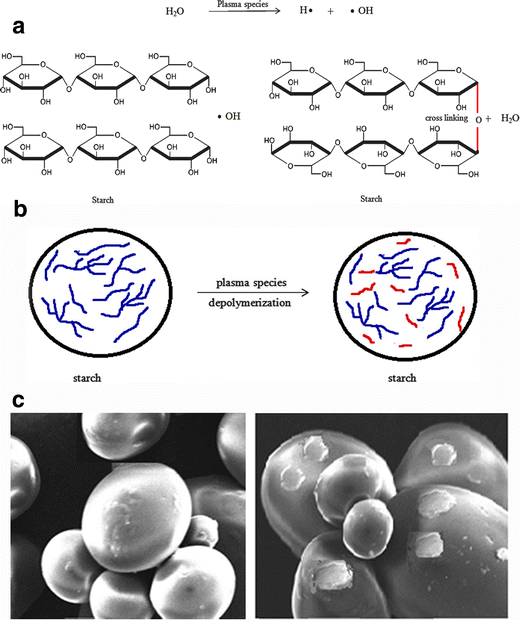 Cold Plasma: an Alternative Technology for the Starch Modification ...