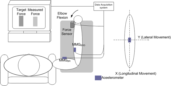 Estimation of elbow flexion force during isometric muscle contraction ...