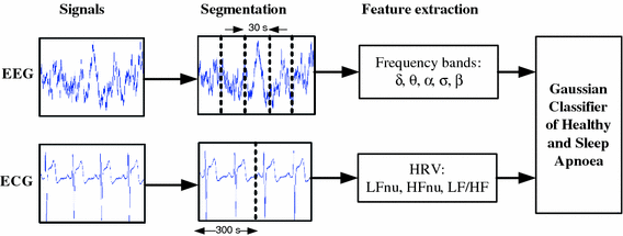 Cross-correlation of EEG frequency bands and heart rate variability for ...