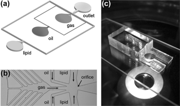 A novel technology: microfluidic devices for microbubble ultrasound ...