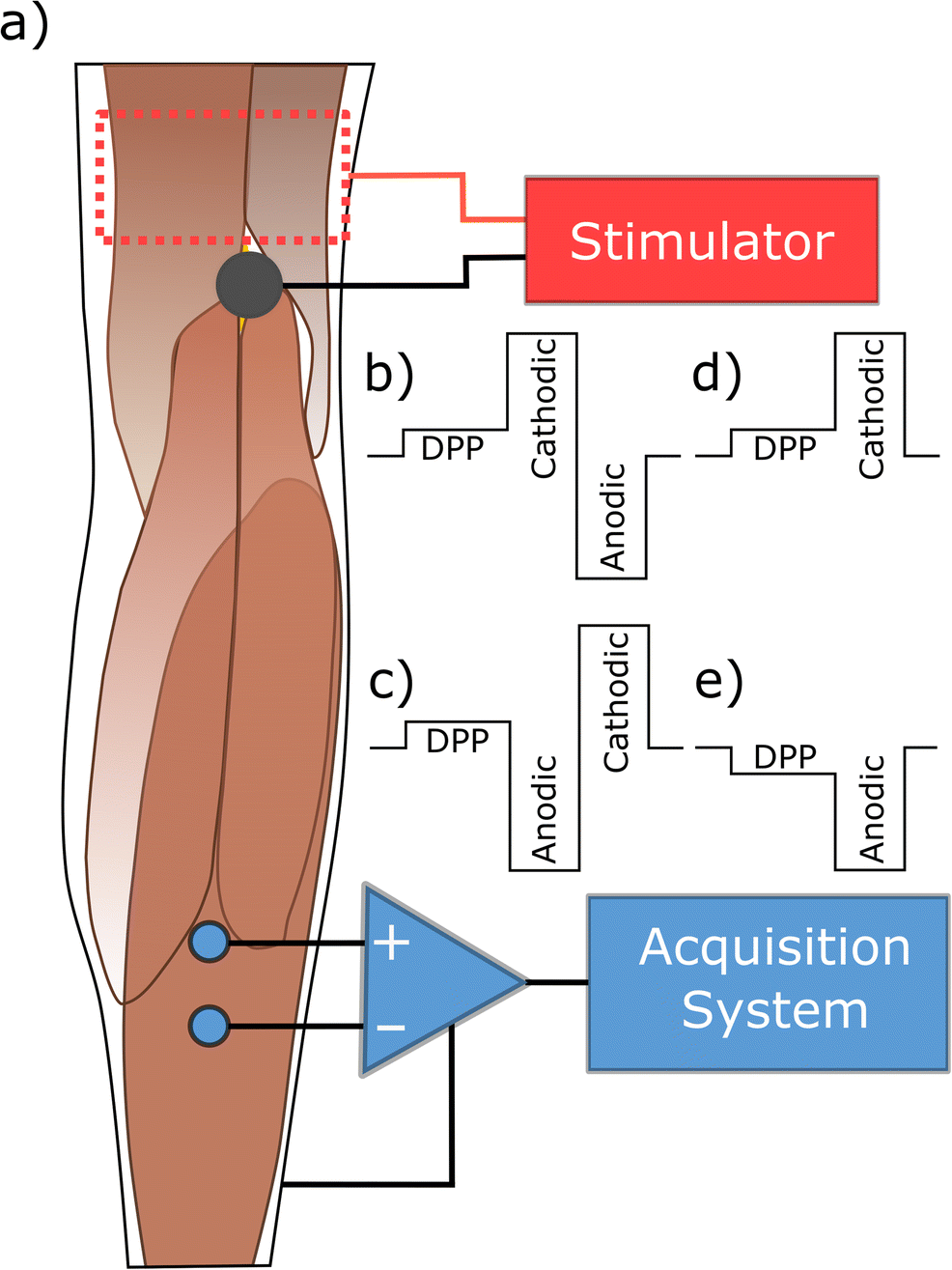 Sub-threshold depolarizing pre-pulses can enhance the efficiency of ...
